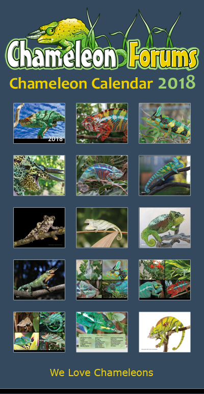 2018 Chameleon Calendar Now Available | Chameleon Forums